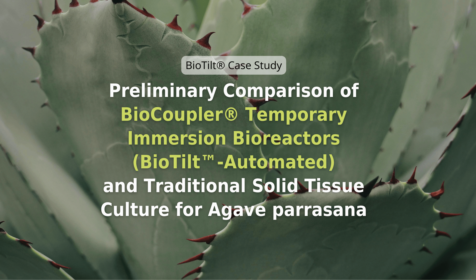 Preliminary Comparison of BioCoupler® Temporary Immersion Bioreactors ...