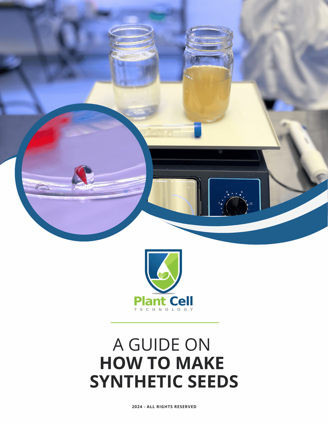 How To Make Synthetic Seeds - Plant Cell Technology