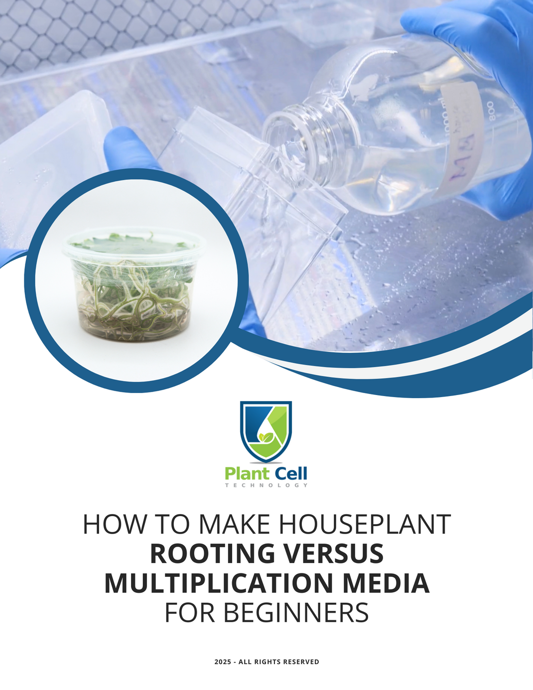 How To Make Houseplant Rooting Versus Multiplication Media For Beginne ...