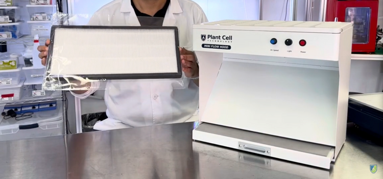 Laminar Flow Hood: Essential Cleaning Tips and Best Practices - Plant ...