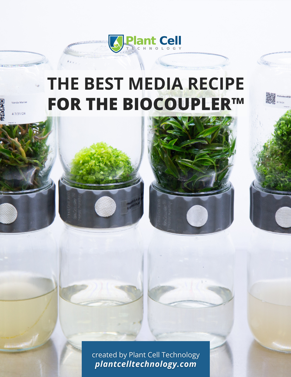The Best Media Recipe For The Biocoupler™ - Plant Cell Technology