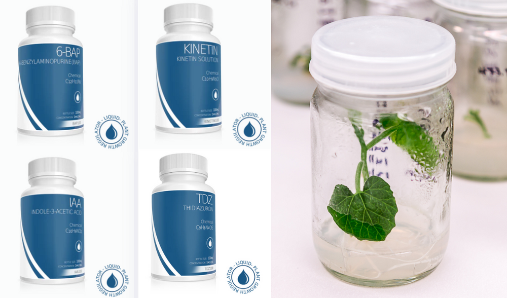 Learning Hub Page 3 - Plant Cell Technology