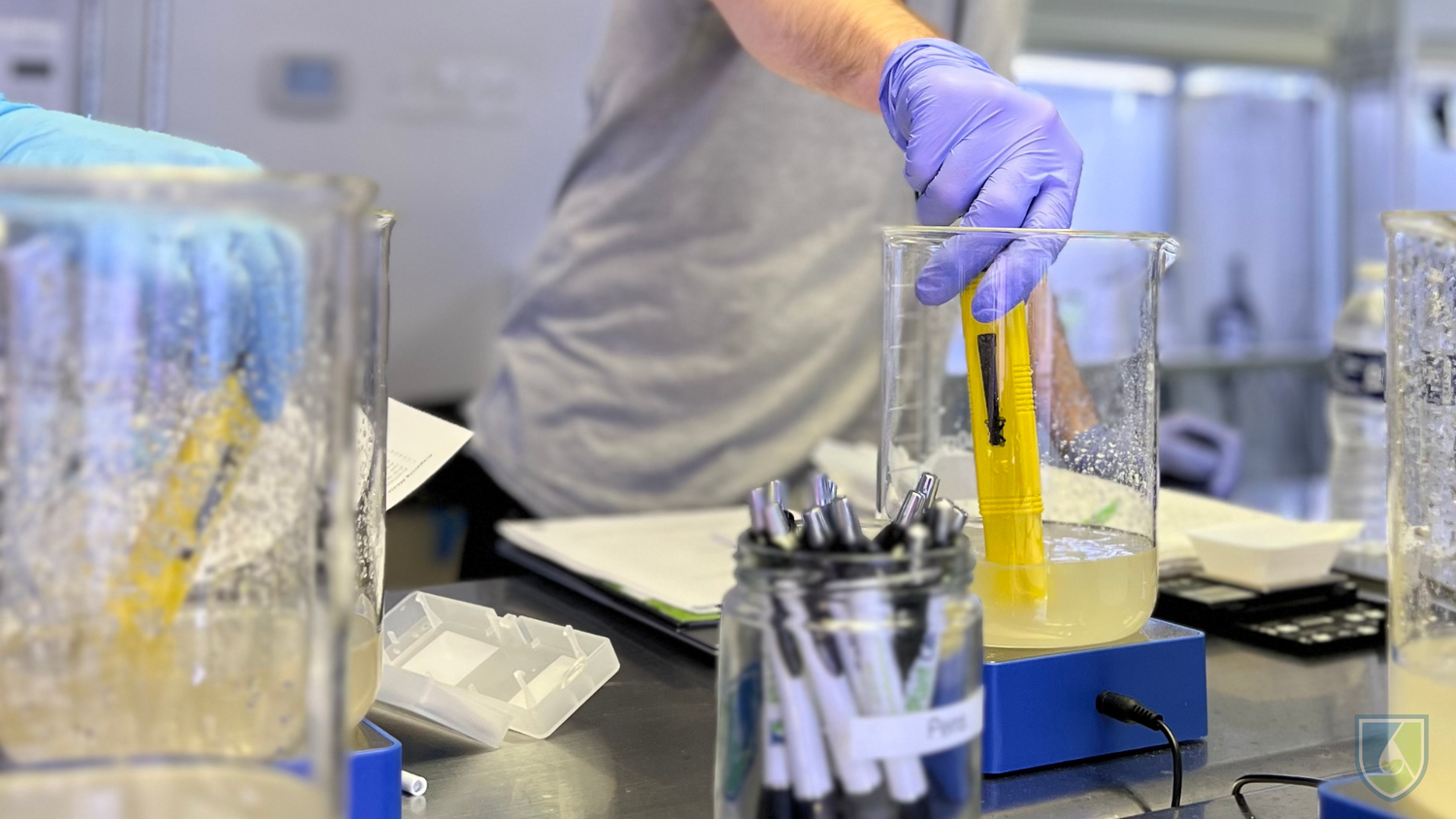 How To Adjust The pH Of The Tissue Culture Media - Plant Cell Technology