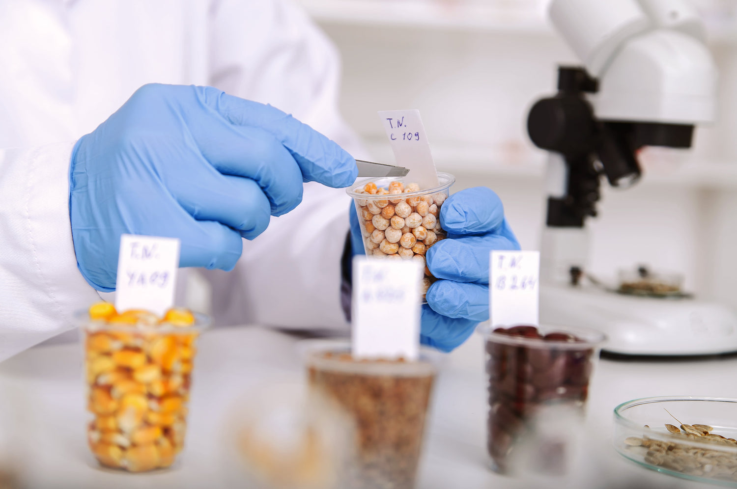 An Overview of Synthetic Seeds - Plant Cell Technology