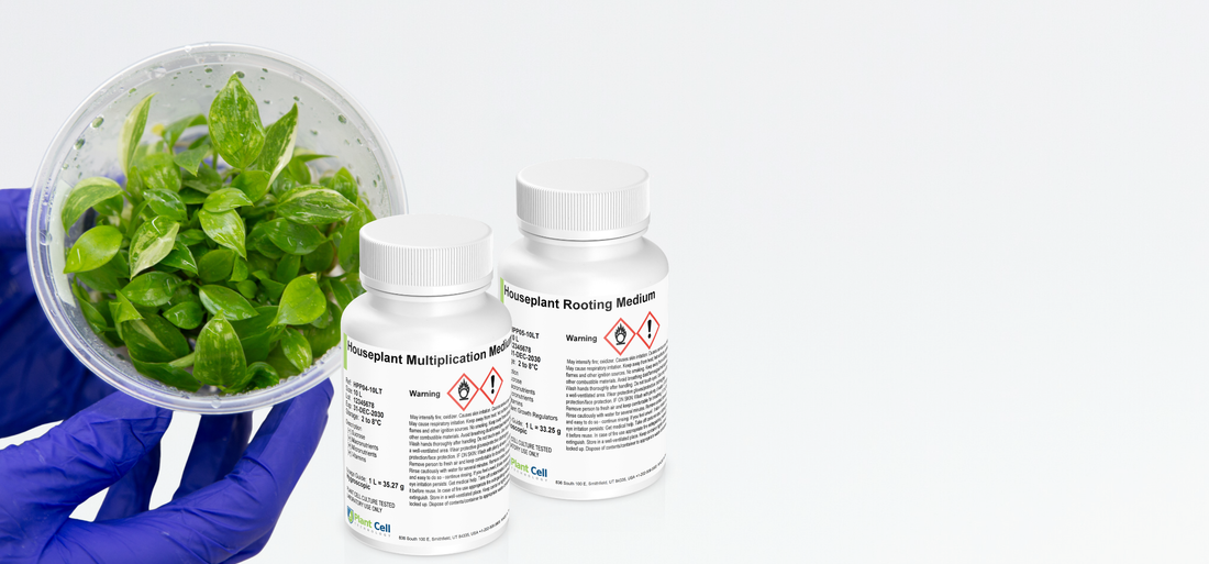 Plant Cell Technology