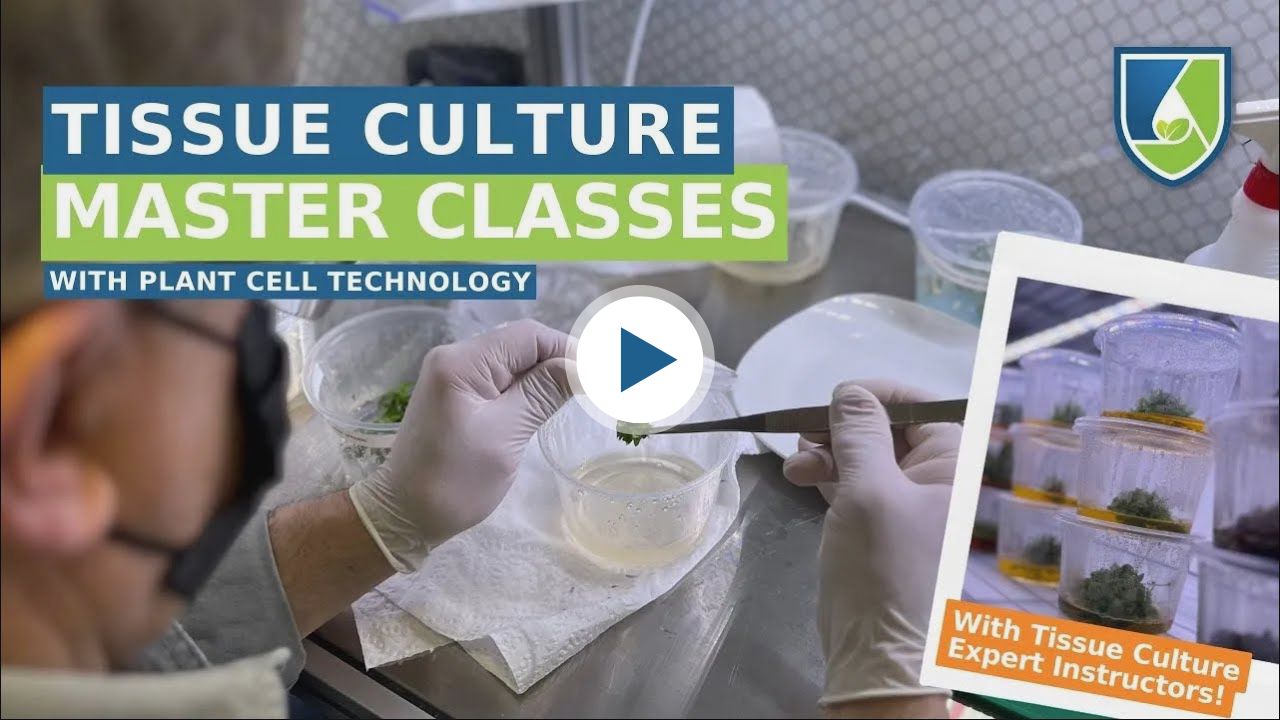 Tissue Culture Master Classes by Plant Cell Technology