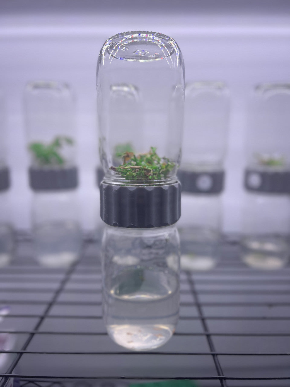 Biocoupler® Glass Set - Plant Cell Technology